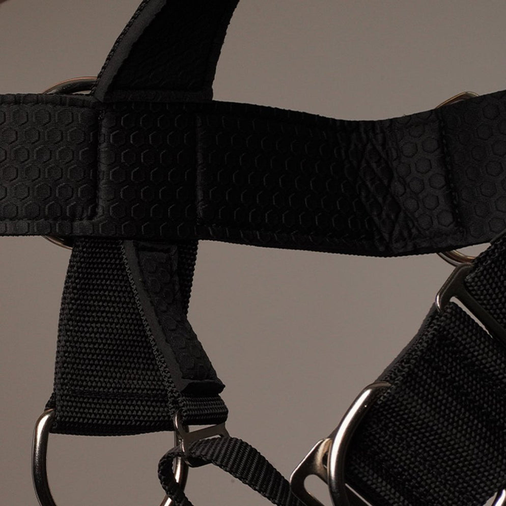 Alpha Harness Plus — Select Fitness