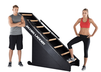 The Original Jacobs Ladder - Free Shipping — Select Fitness